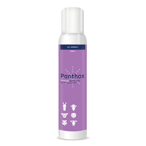 Panthox Wound Spray with Gentian Violet 200ml – Agriwise Group
