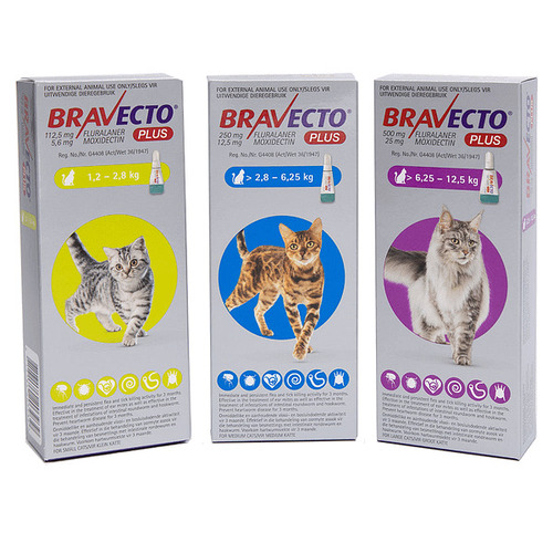 Bravecto Plus For Cats – Agriwise Group
